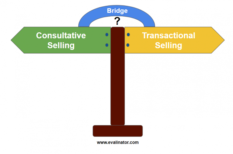 Consultative Selling: How Experts Bridge the Decision Gap - Evalinator