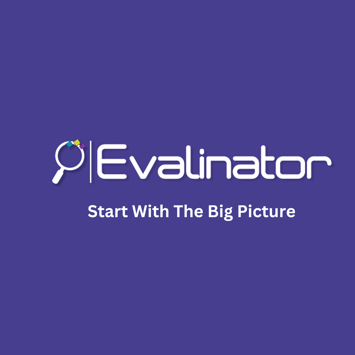 Advanced Coaching & Consulting Tools Beyond Static PDFs - Evalinator