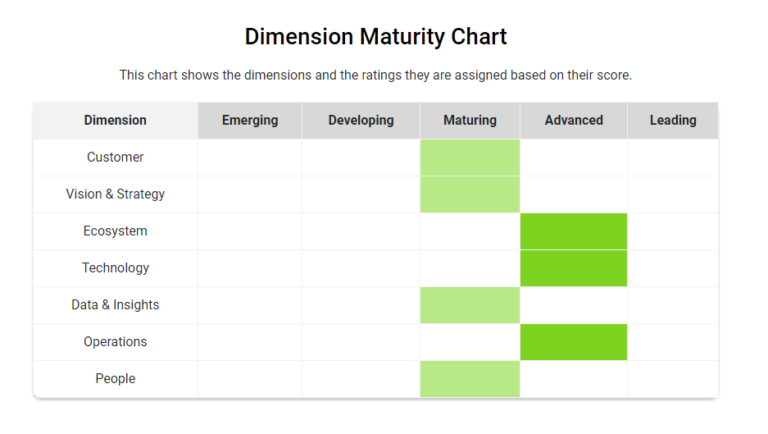 Digital Maturity Assessment Template - Evalinator